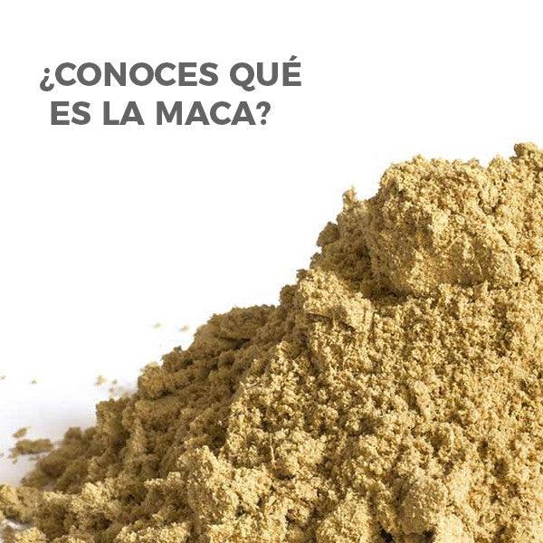 ¿Conoces qué es la maca? - Hierbas Orgánicas de México