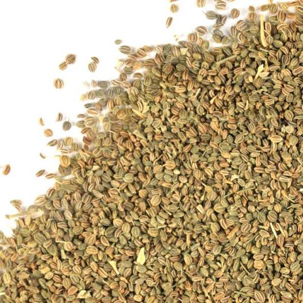 Semillas de Apio Orgánicas – Hierbas Orgánicas de México