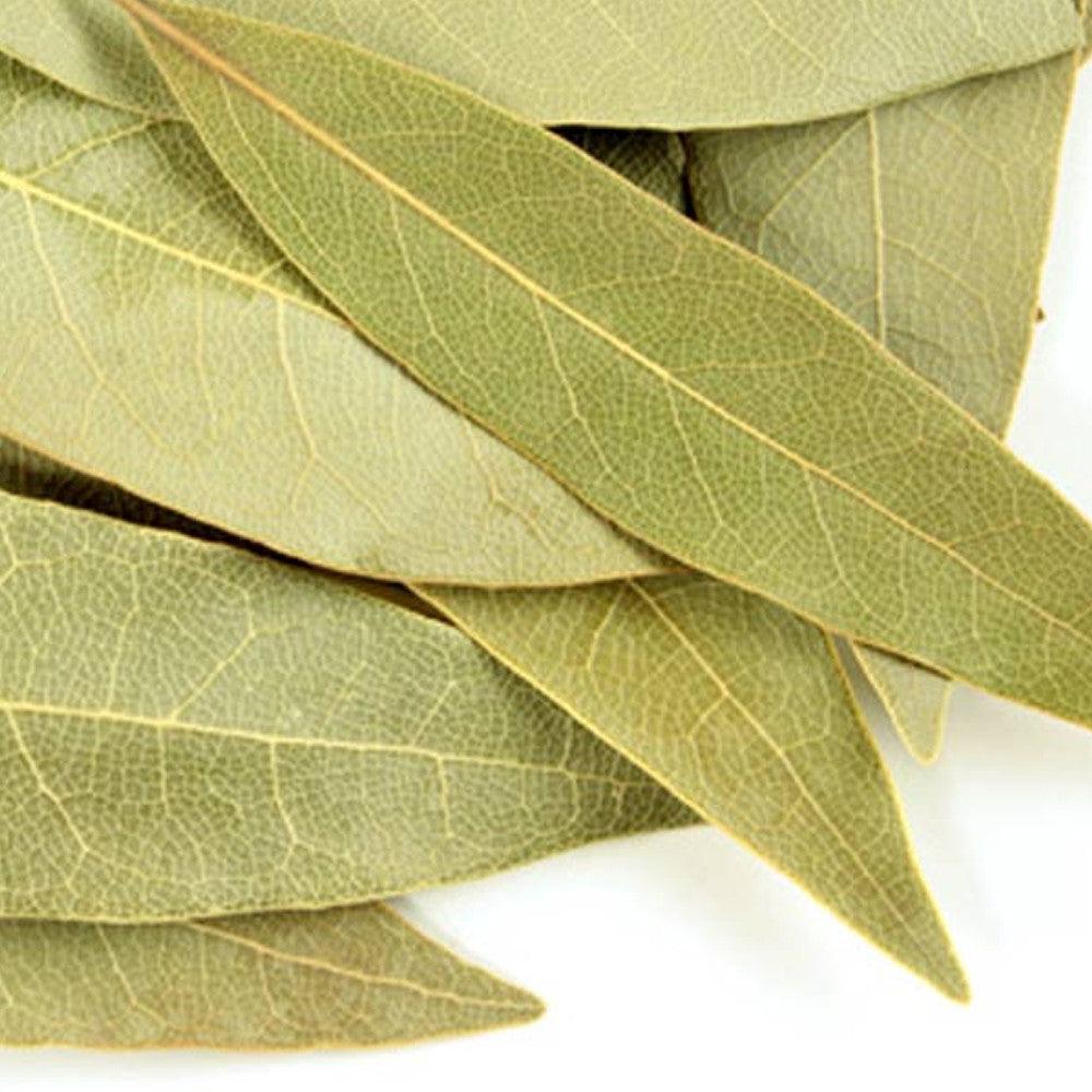 Hoja de Laurel – Hierbas Orgánicas de México