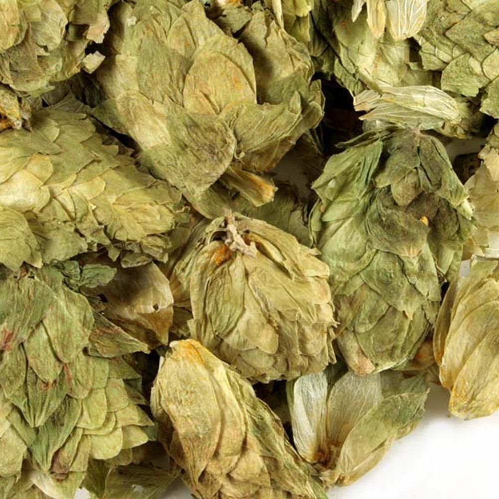 Lúpulo Flores – Hierbas Orgánicas de México